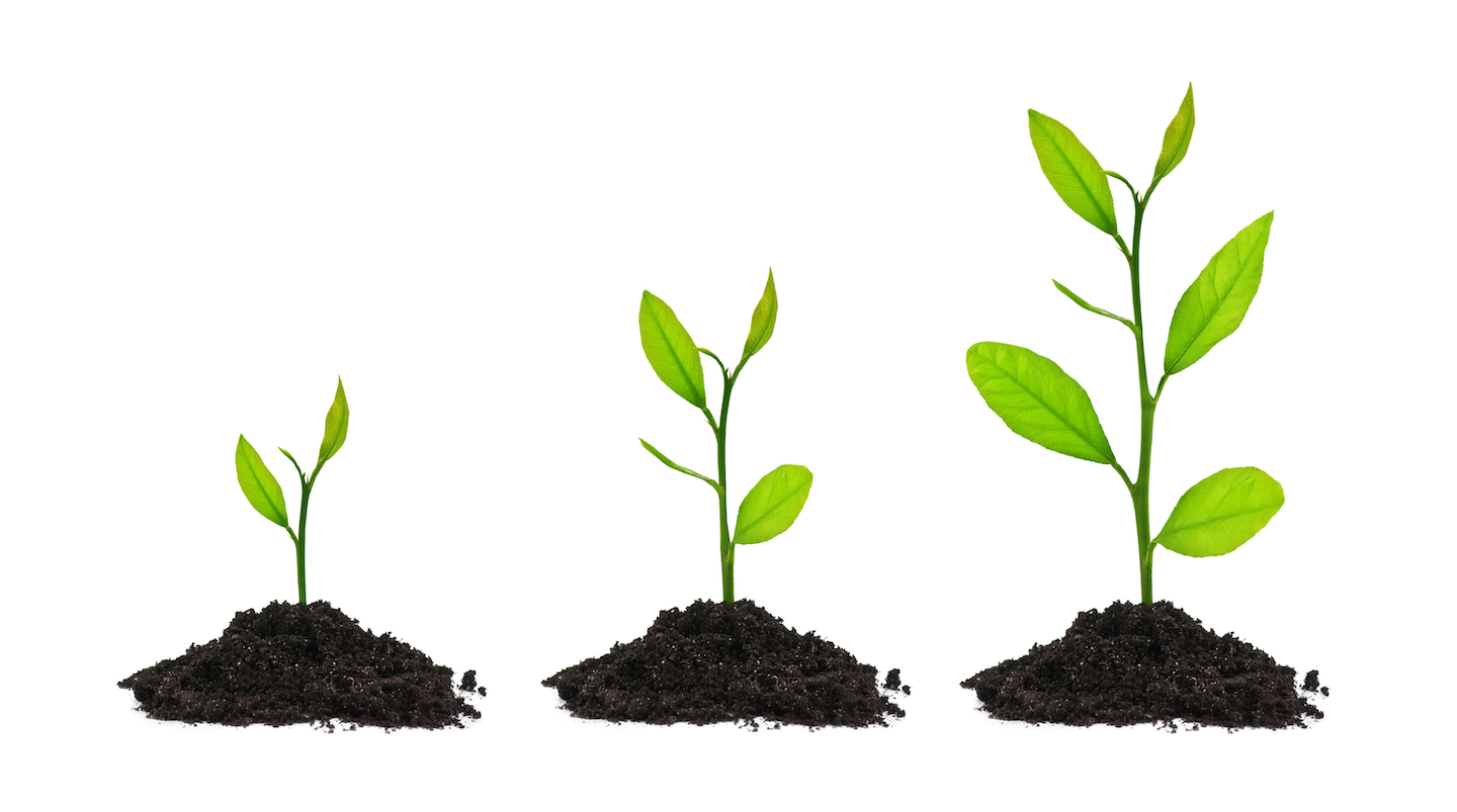 3 Ways To GROW Your Clinic Clinicminds